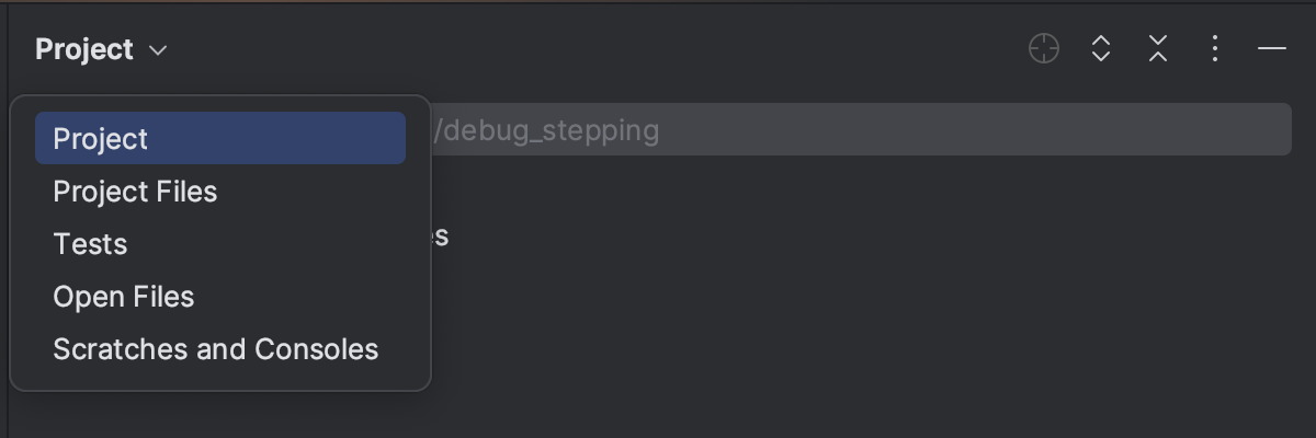 Project tool window | WebStorm Documentation