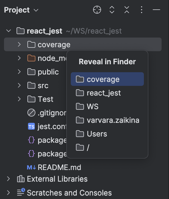 Project tool window | WebStorm Documentation