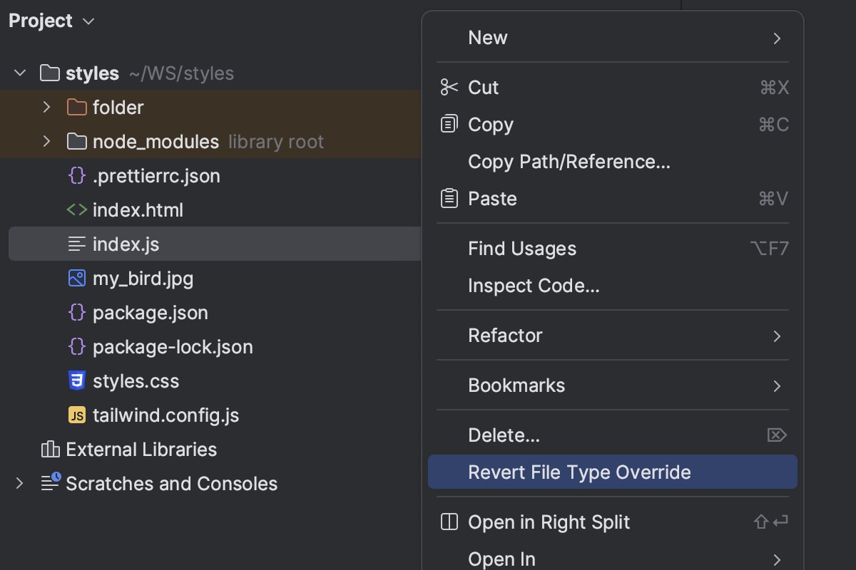 Configuring project structure | WebStorm Documentation