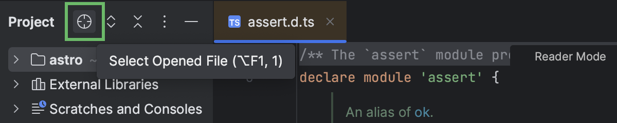 Advanced Settings | WebStorm Documentation