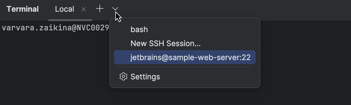 Terminal | WebStorm Documentation