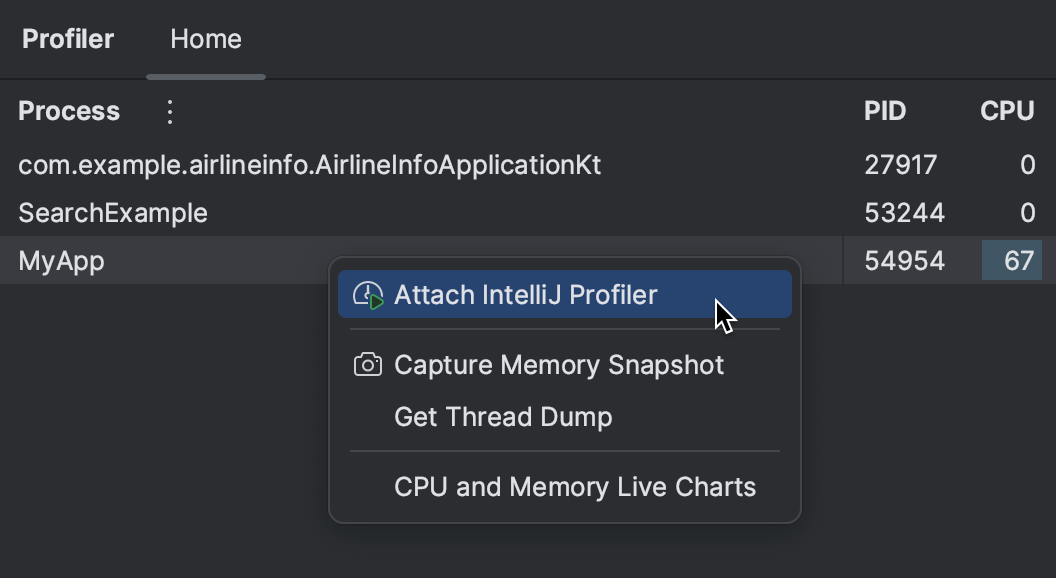 Create and open snapshots | IntelliJ IDEA Documentation