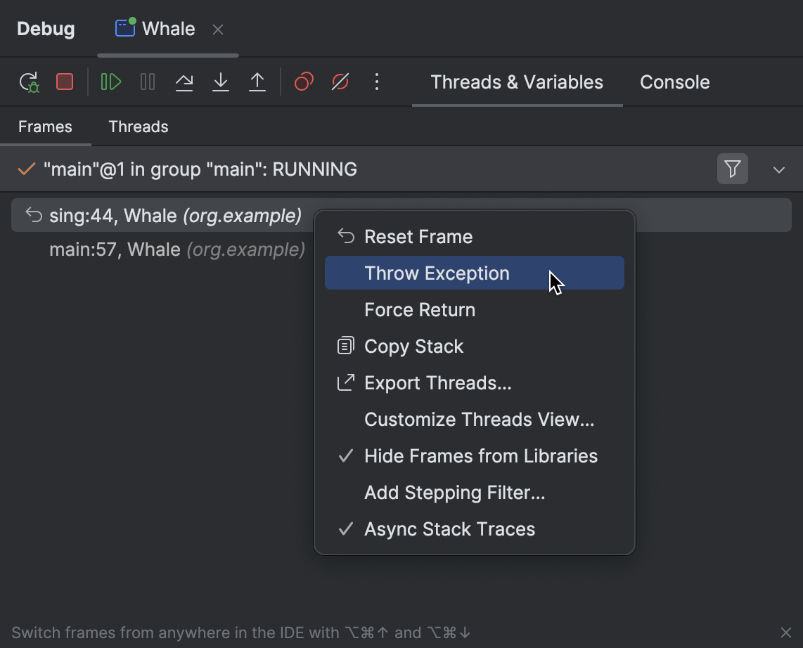 Alter the program's execution flow | IntelliJ IDEA Documentation
