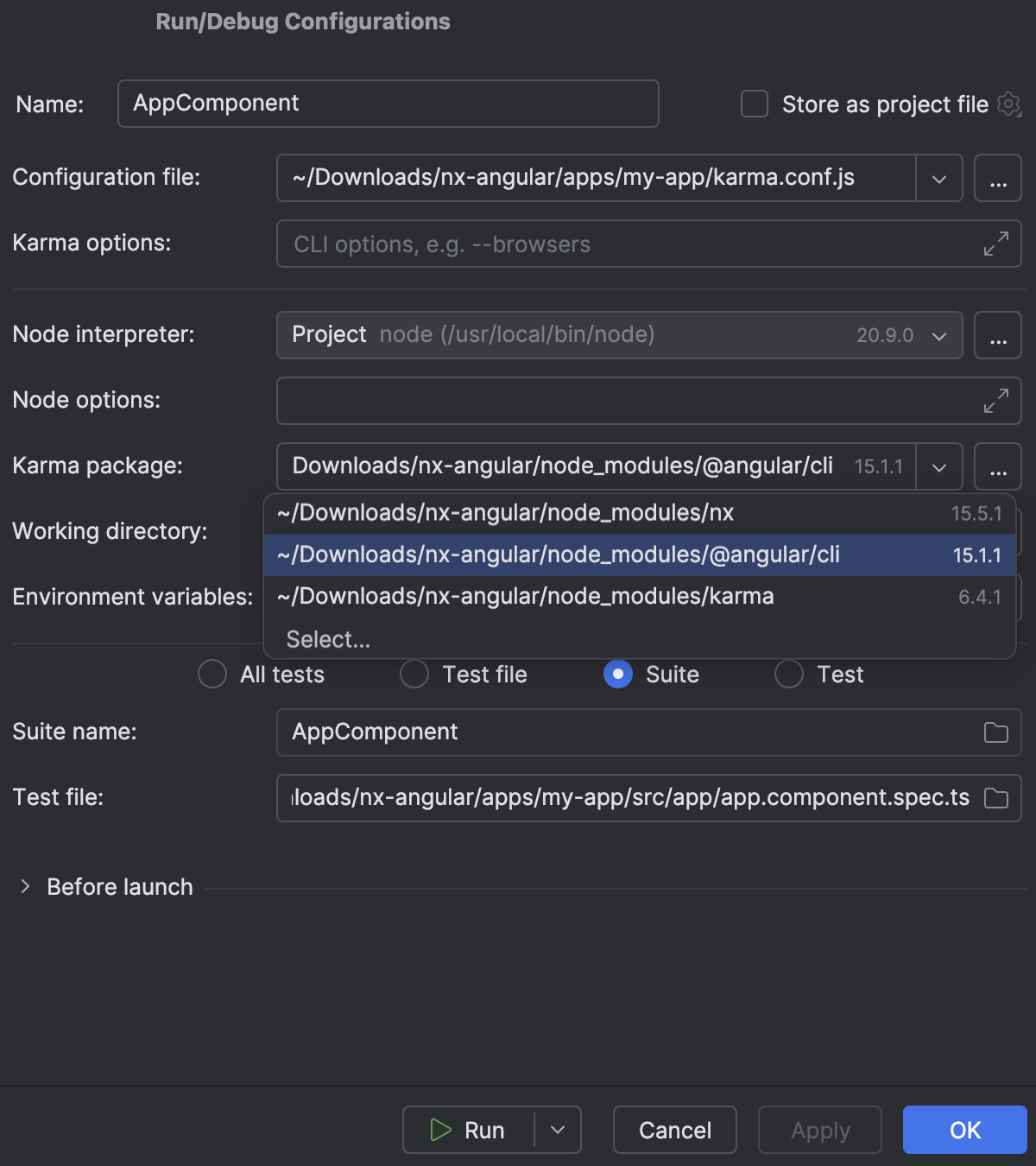 Karma | WebStorm Documentation