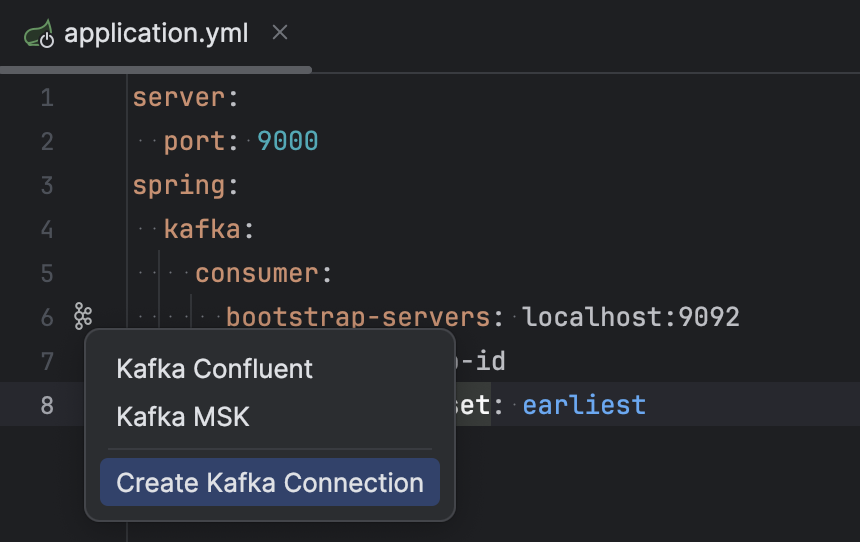 Kafka Intellij Idea Documentation