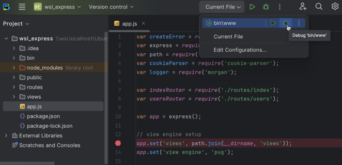 WSL | WebStorm Documentation