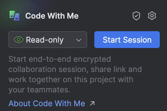 Getting Started With Code With Me Rustrover Documentation
