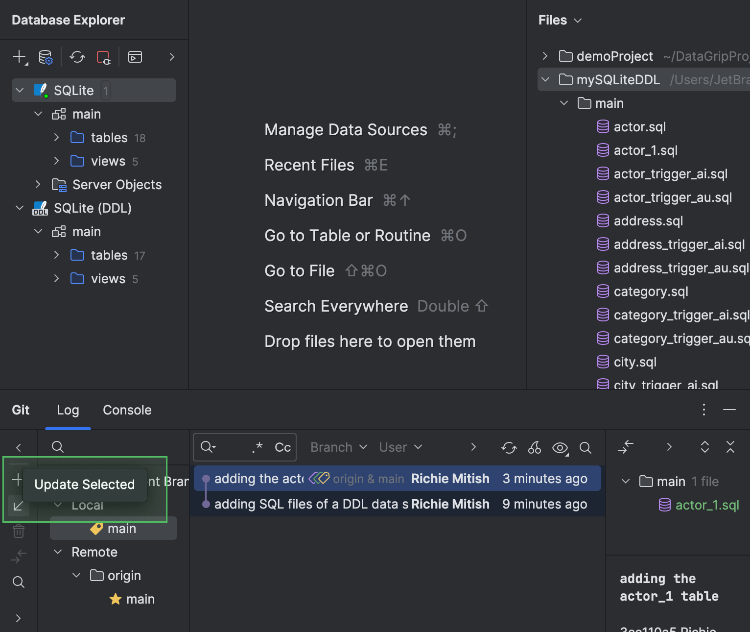 Databases in the Version Control System | DataGrip Documentation