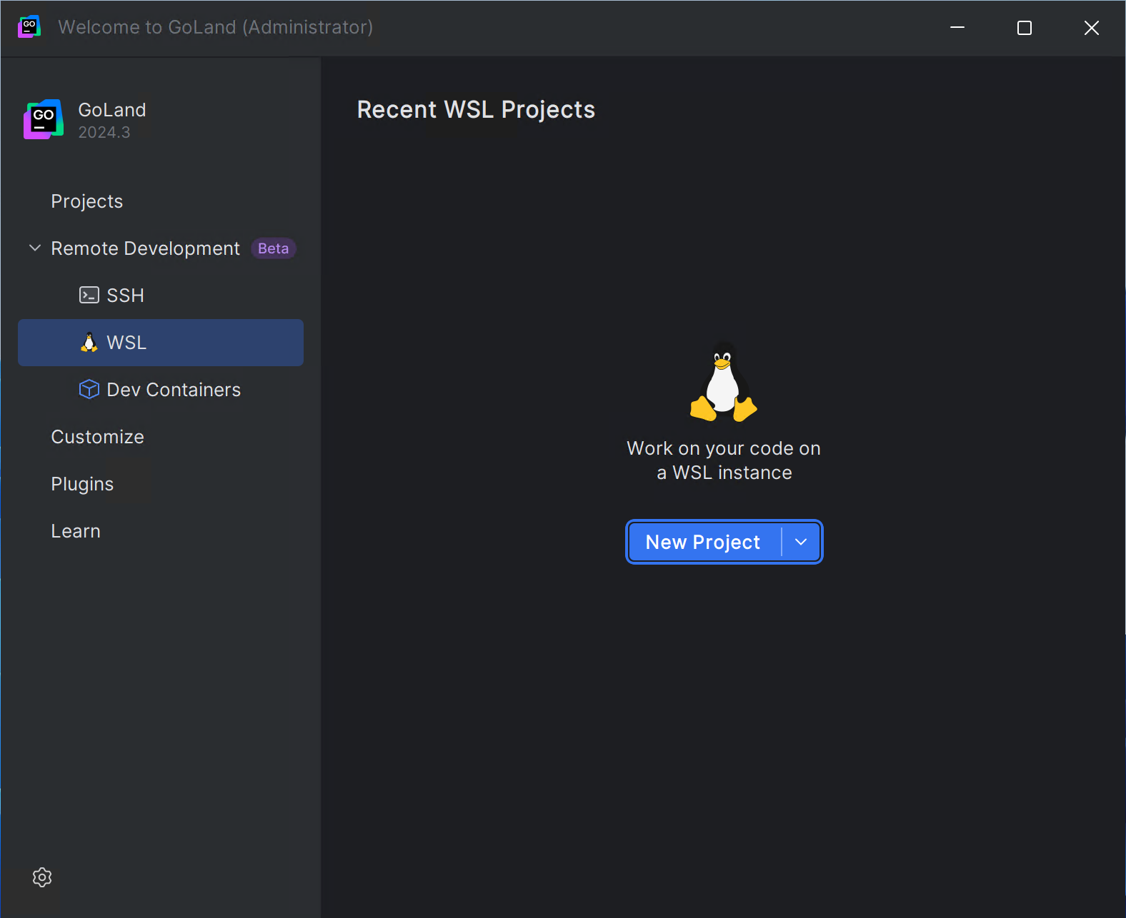 Connect to a remote server from GoLand | GoLand Documentation