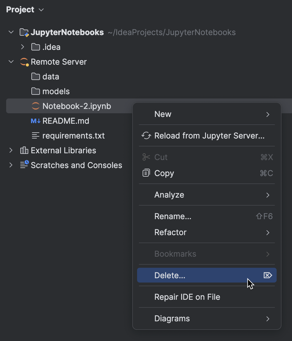 管理 Jupyter notebook 服务器 | IntelliJ IDEA 文档