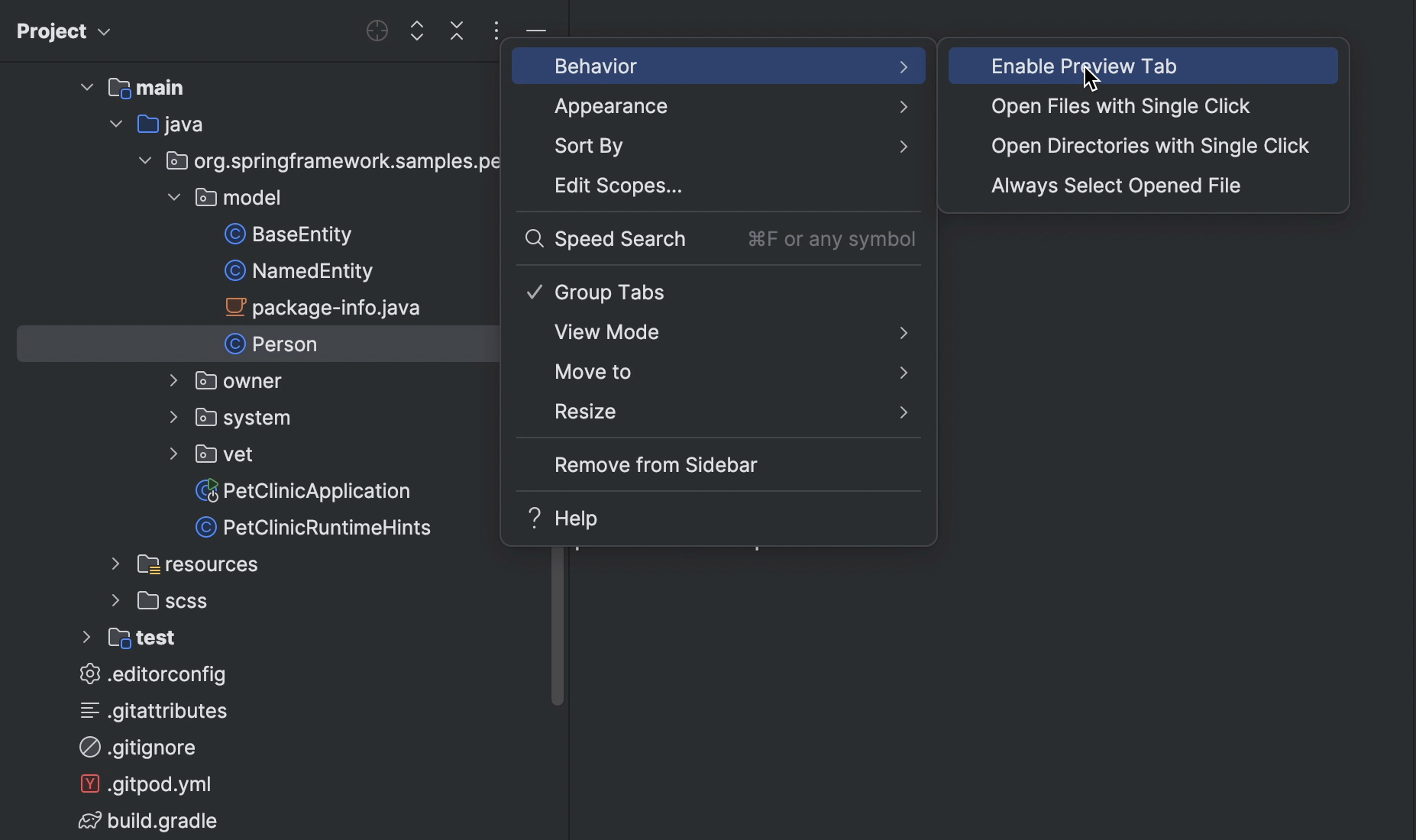 Migrate From Windsurf Intellij Idea Documentation 1919