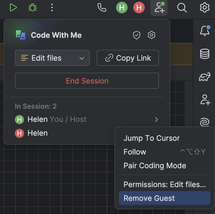 Getting started with Code With Me | RustRover Documentation