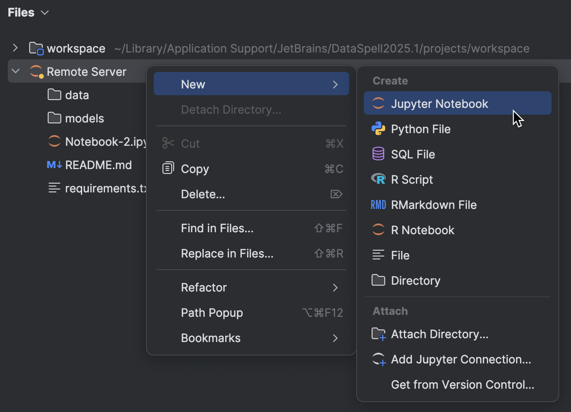 Manage Jupyter notebook servers | DataSpell Documentation