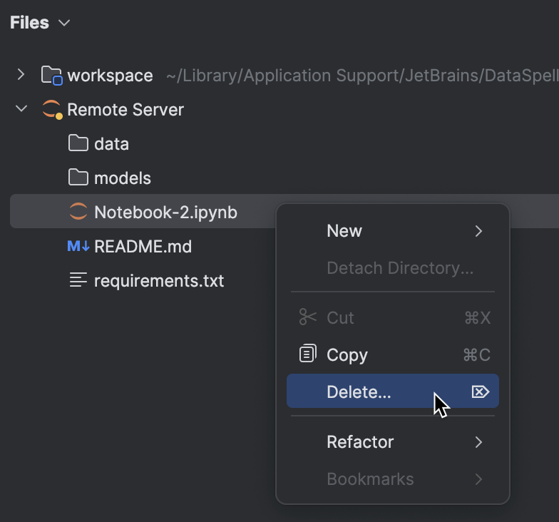 Manage Jupyter notebook servers | DataSpell Documentation