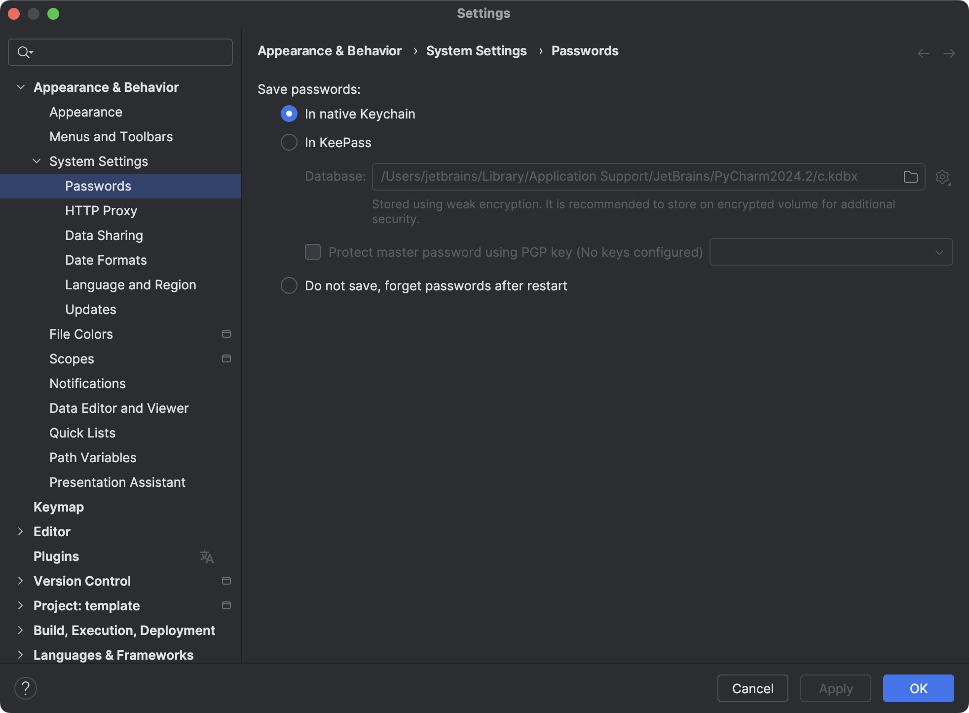 Passwords | PyCharm Documentation
