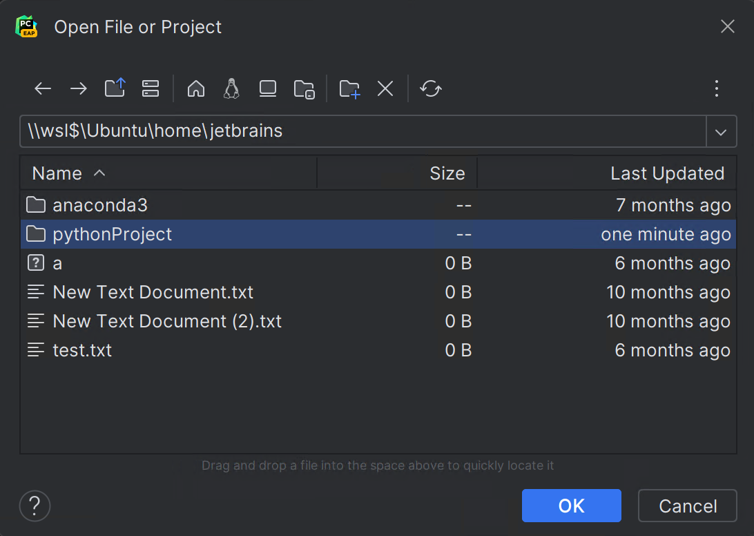 Configure an interpreter using WSL | PyCharm Documentation