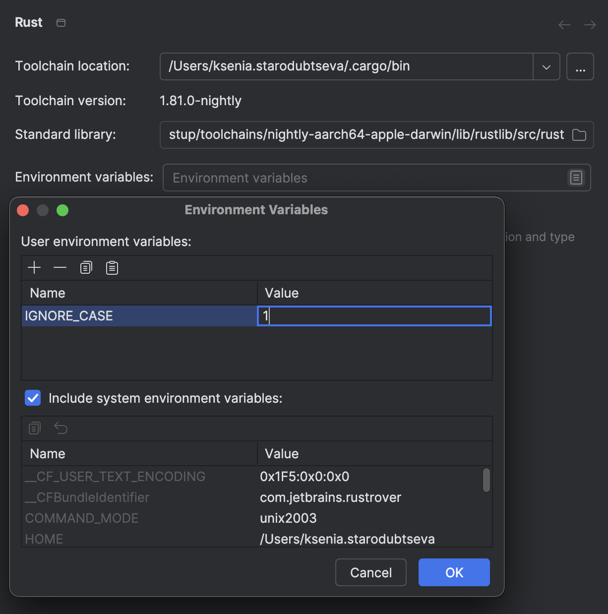 Set environment variables | RustRover Documentation