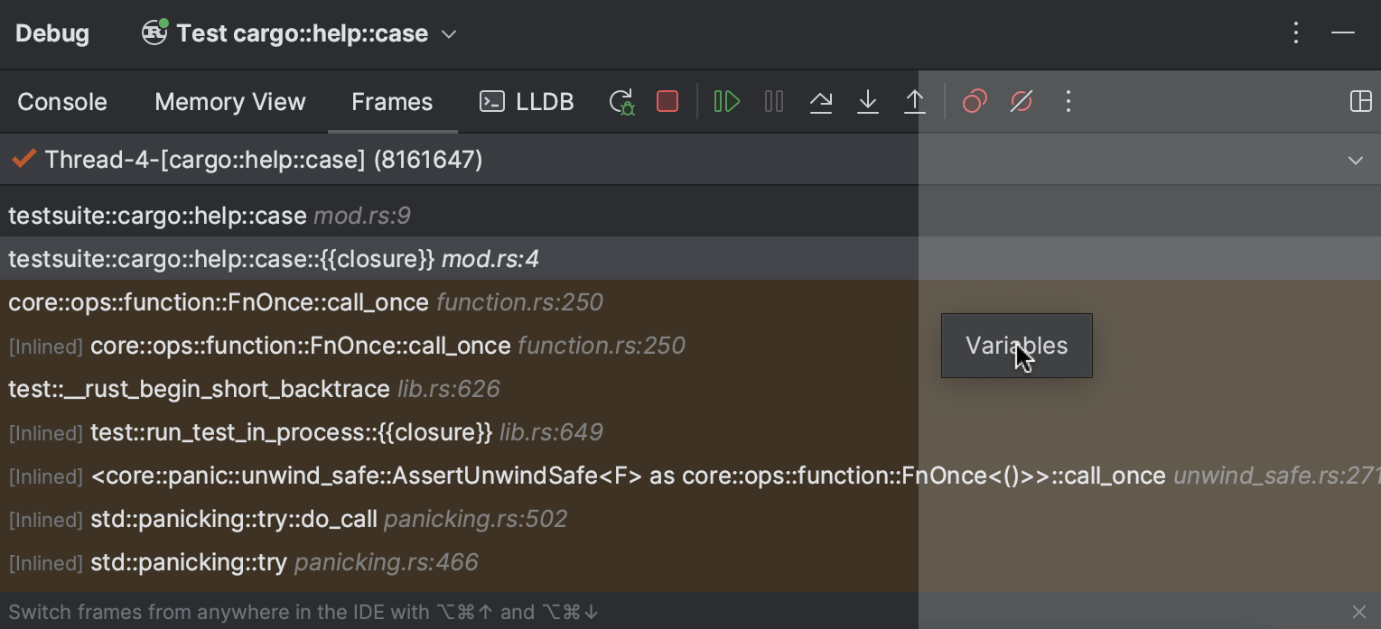 Debug tool window | RustRover Documentation