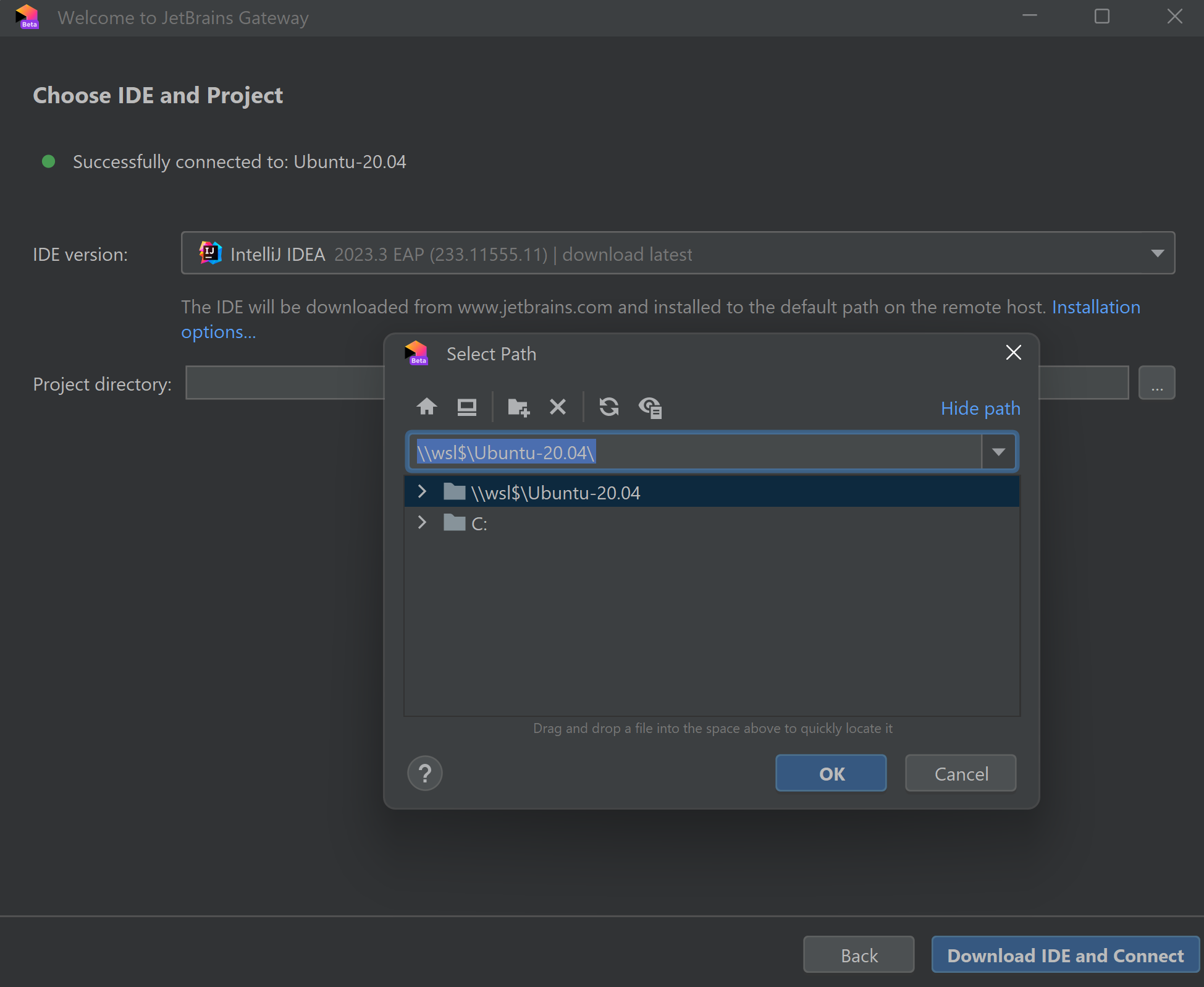 Connect and work with JetBrains Gateway | RustRover Documentation