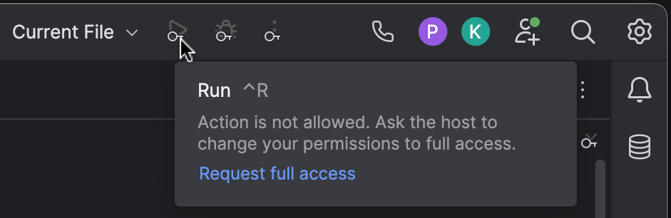 Getting started with Code With Me | RustRover Documentation