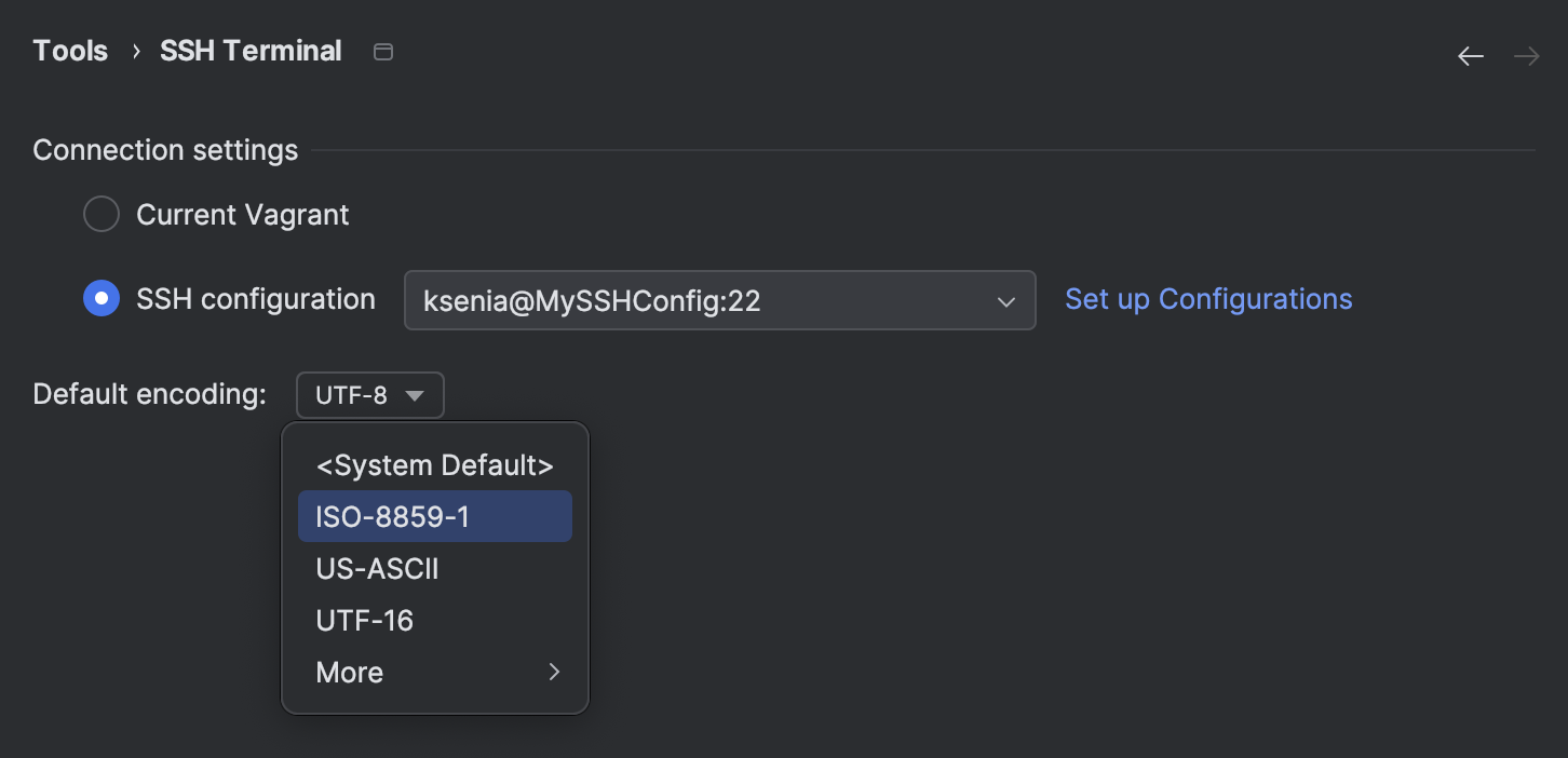Run SSH terminal | RustRover Documentation