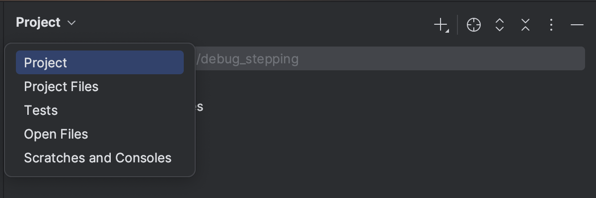 Project tool window | WebStorm Documentation