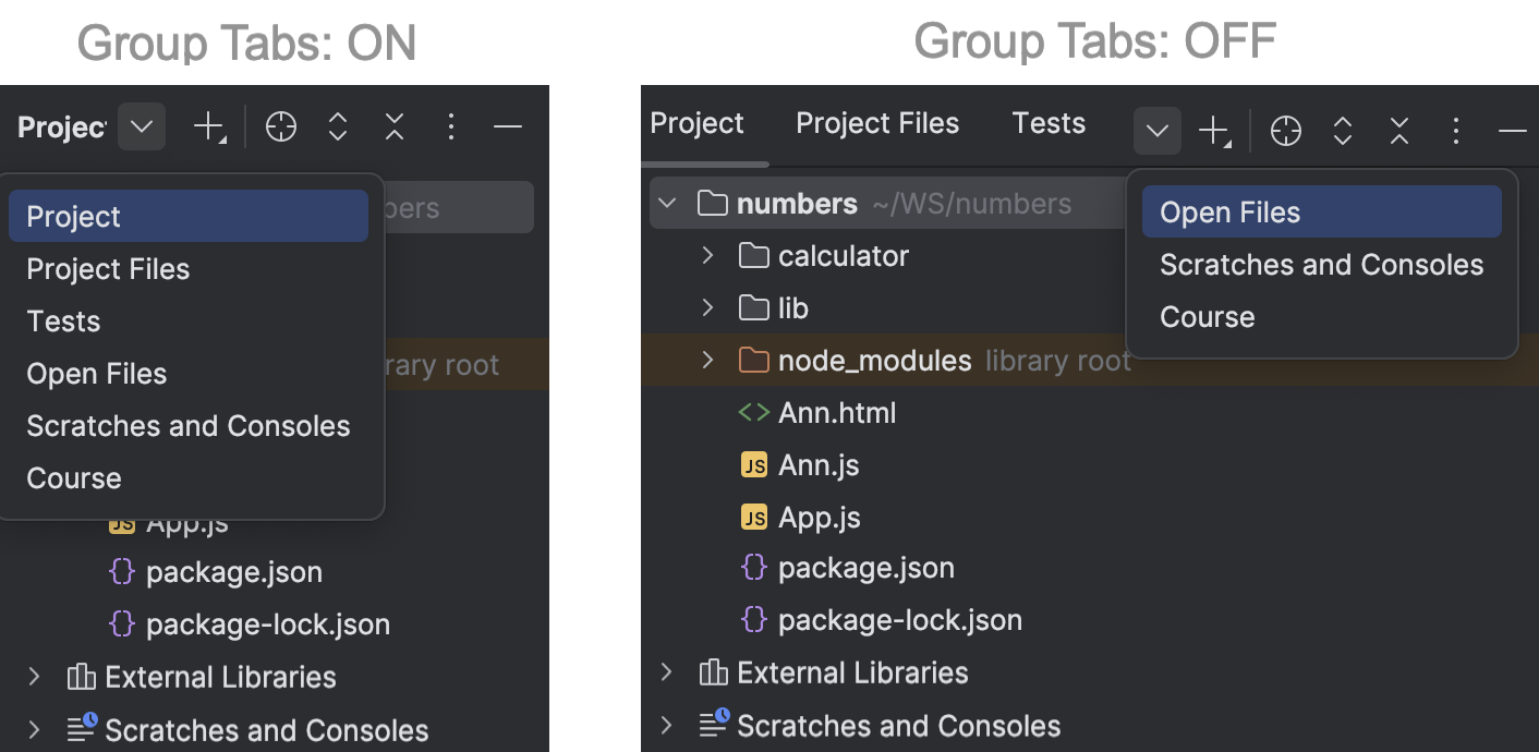 Project tool window | WebStorm Documentation