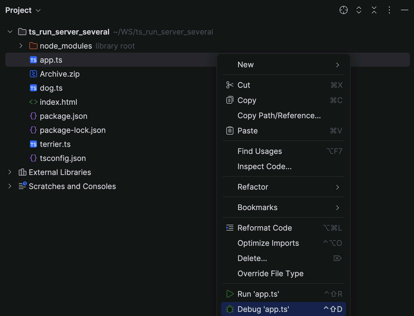 运行和调试 Typescript Webstorm 文档eoi 2663
