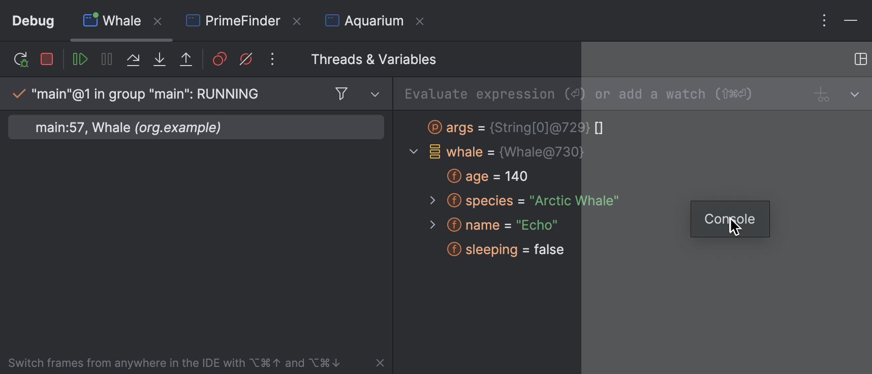 Debug（调试）工具窗口 | IntelliJ IDEA 文档