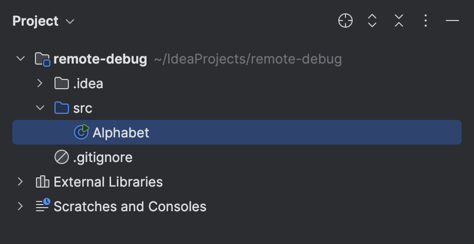 Tutorial: Remote debug | IntelliJ IDEA Documentation