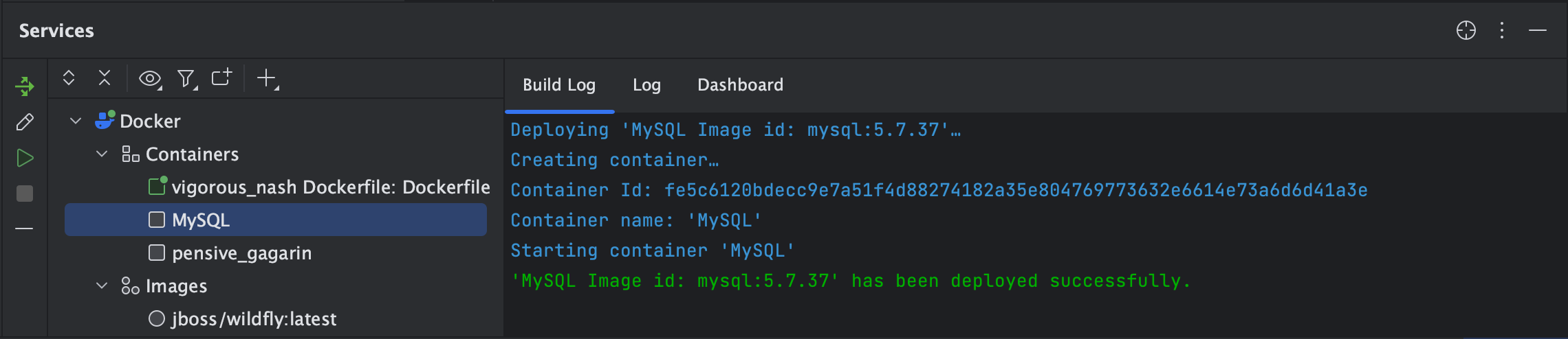 Docker 容器 | IntelliJ IDEA 文档