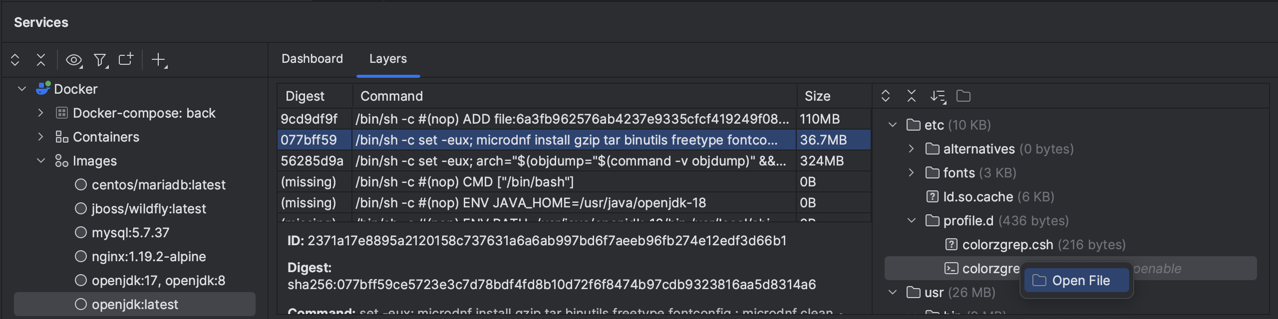Docker 镜像 | IntelliJ IDEA 文档