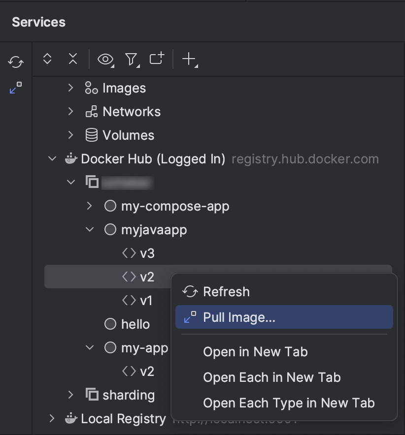 Docker 镜像 | IntelliJ IDEA 文档