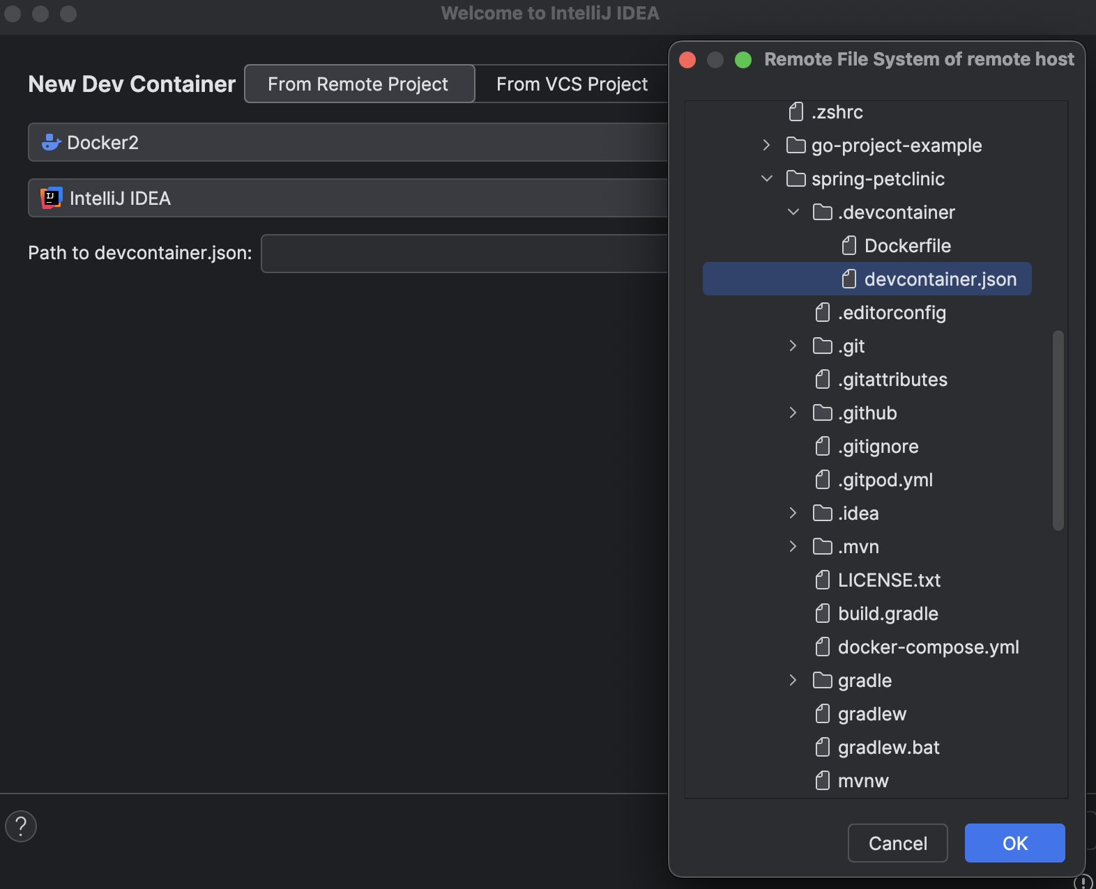 Start Dev Container for a remote project | IntelliJ IDEA Documentation