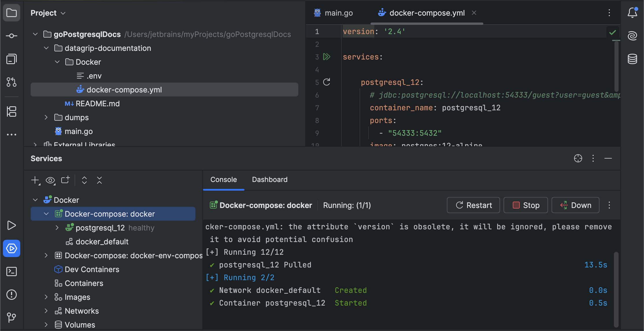 Docker Goland Documentation 