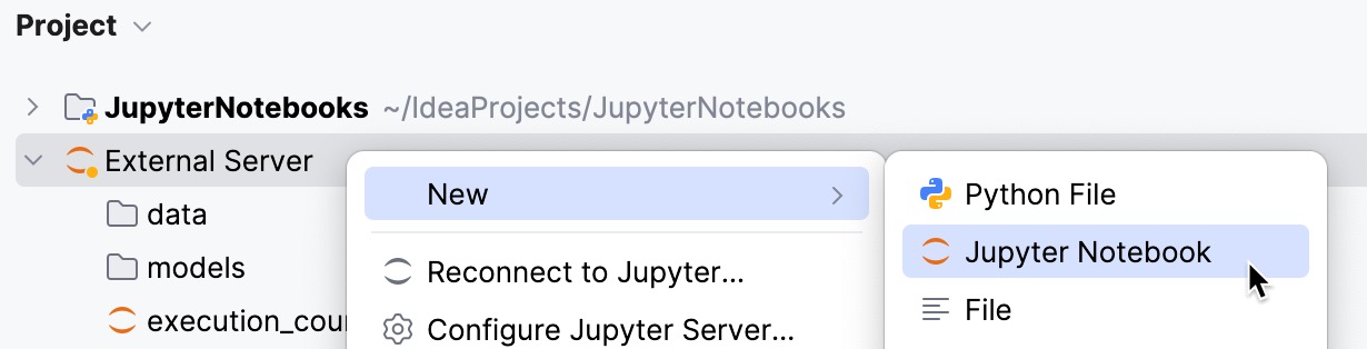 管理 Jupyter notebook 服务器 | IntelliJ IDEA 文档