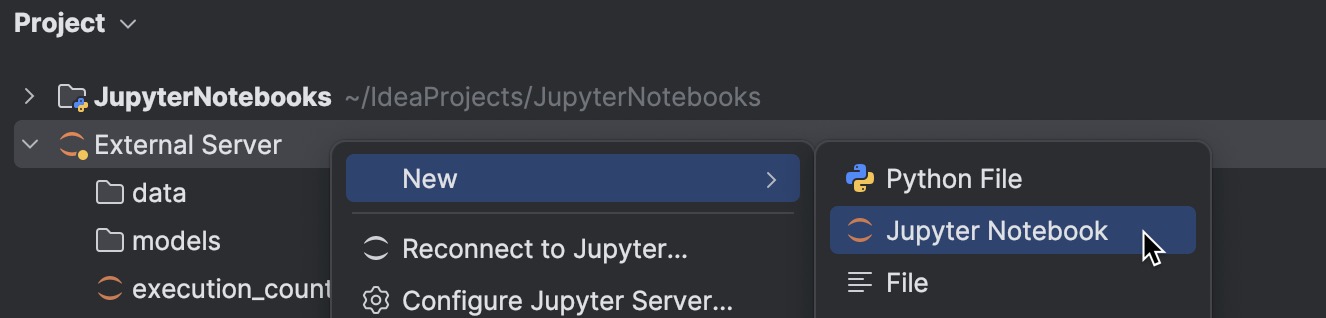 管理 Jupyter notebook 服务器 | IntelliJ IDEA 文档