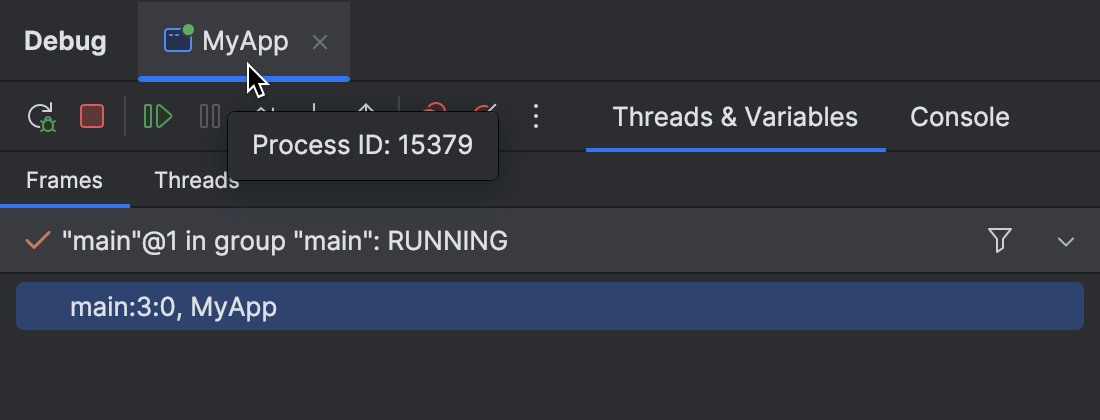Start the debugger session | IntelliJ IDEA Documentation