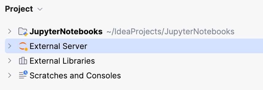 管理 Jupyter notebook 服务器 | IntelliJ IDEA 文档