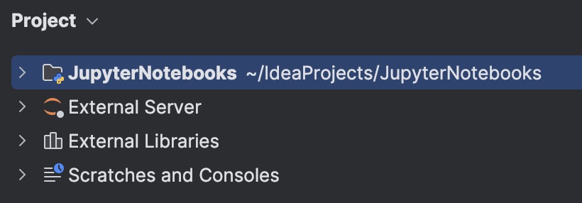 管理 Jupyter notebook 服务器 | IntelliJ IDEA 文档