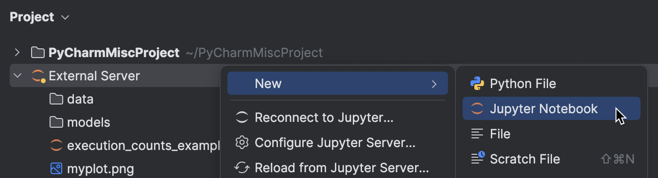 Manage Jupyter notebook servers | PyCharm Documentation