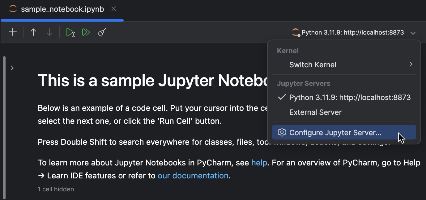 管理 Jupyter notebook 服务器 | PyCharm 文档