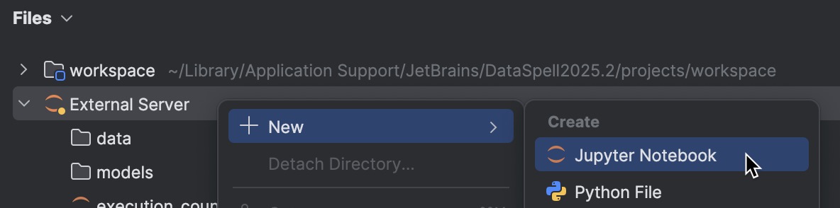 Manage Jupyter notebook servers | DataSpell Documentation