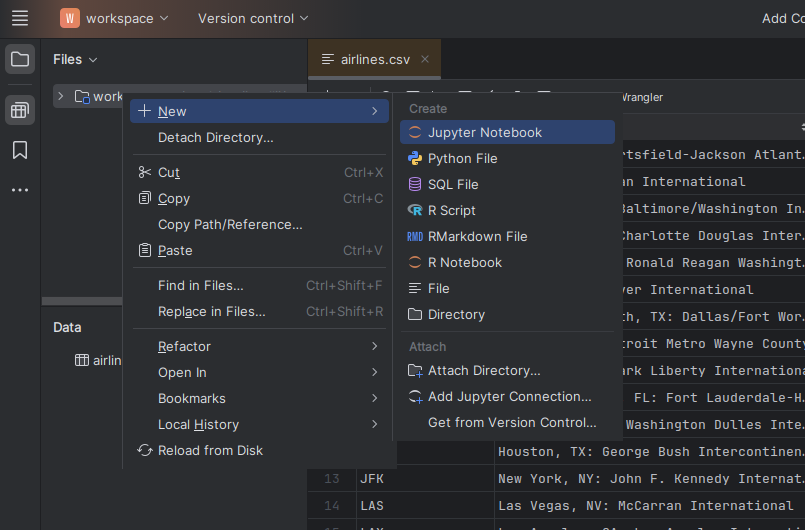 Set up environment and load data | DataSpell Documentation