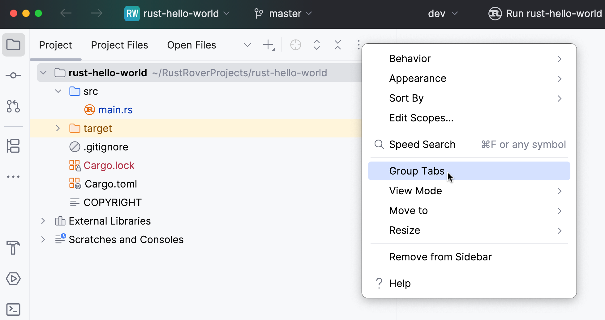 Project tool window | RustRover Documentation