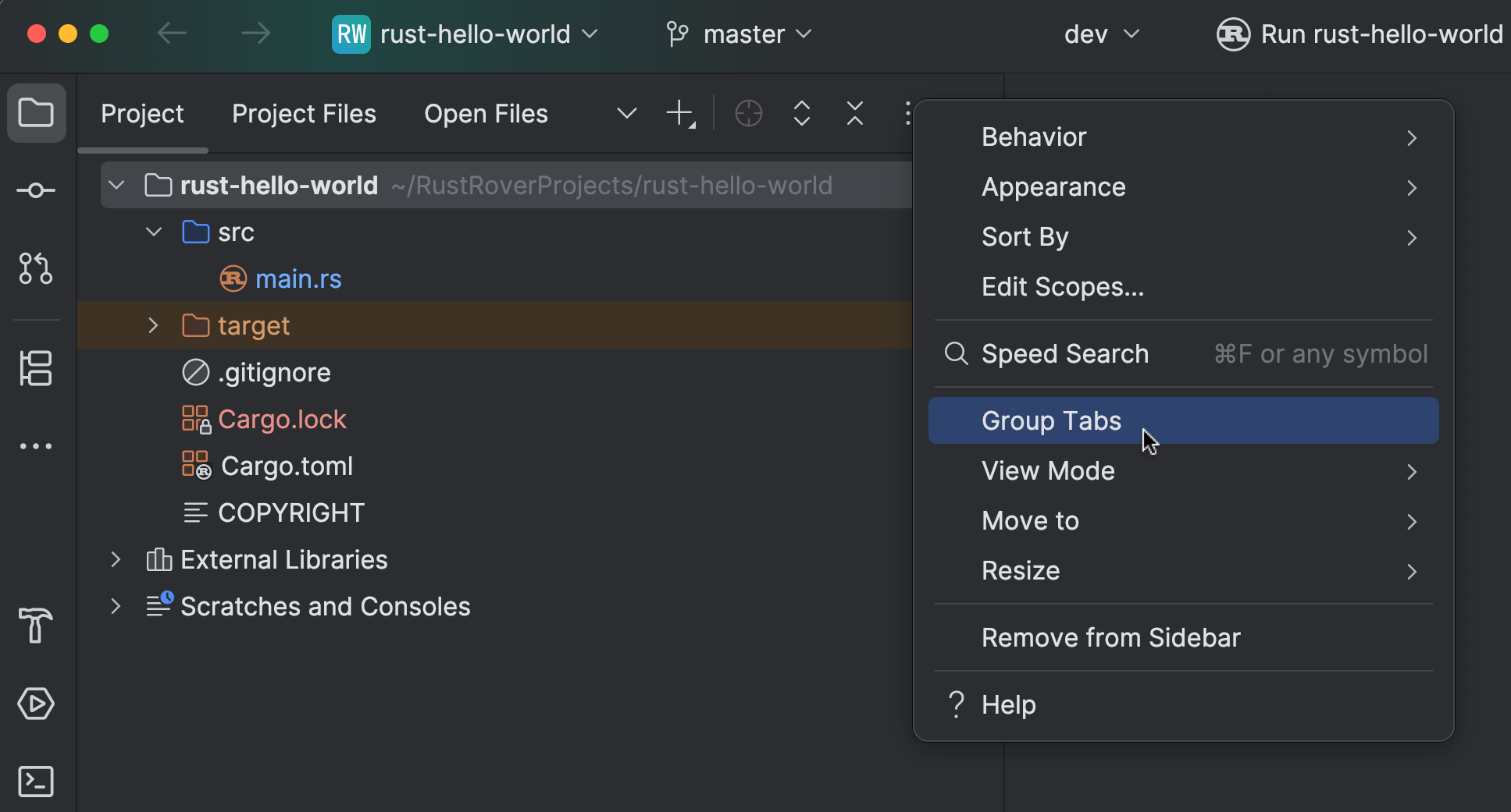 Project tool window | RustRover Documentation