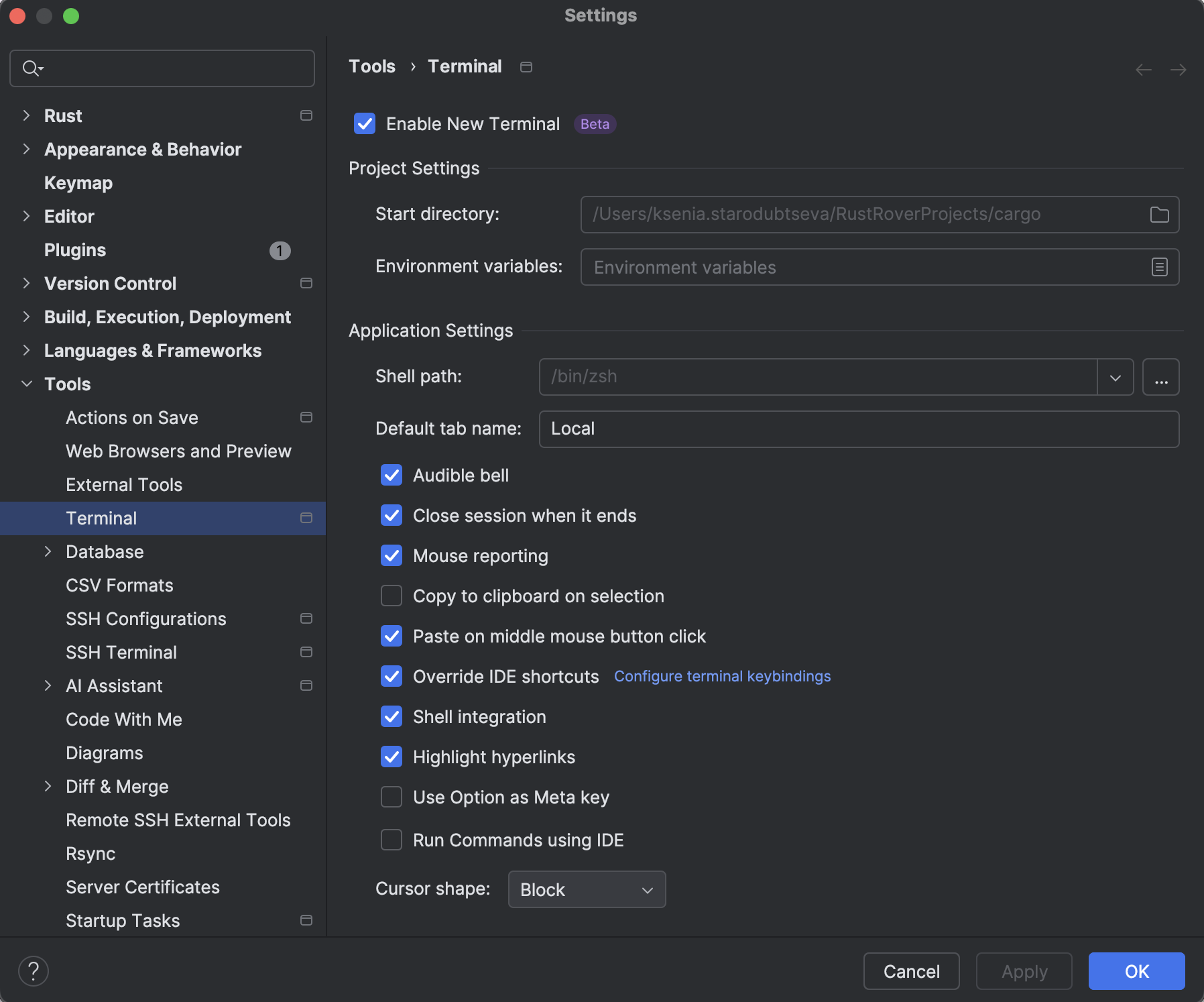 Terminal settings | RustRover Documentation