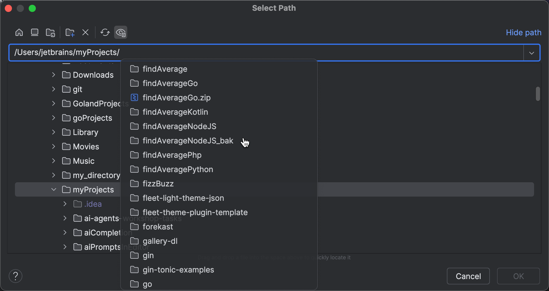 Select Path dialog | PyCharm Documentation