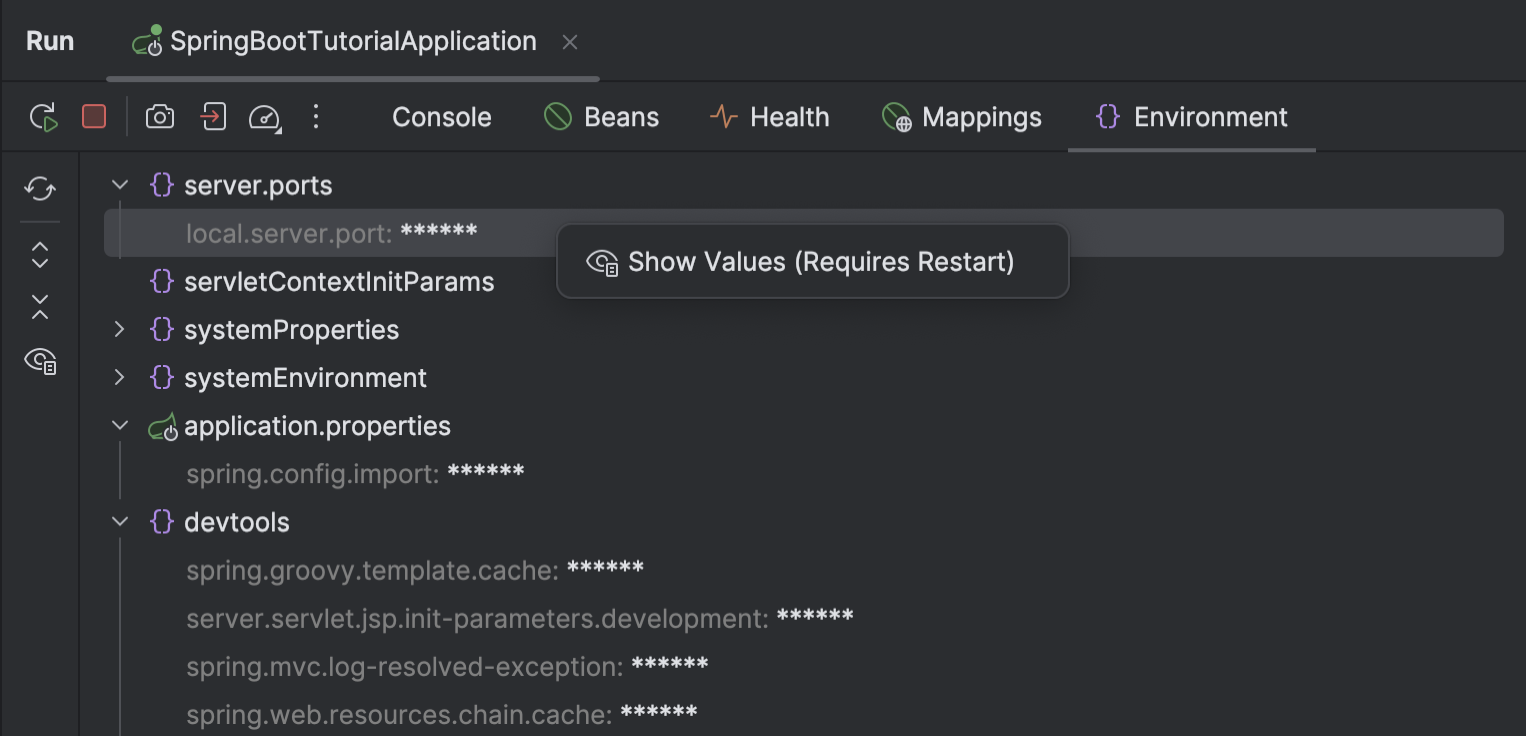 Spring Boot | IntelliJ IDEA 文档