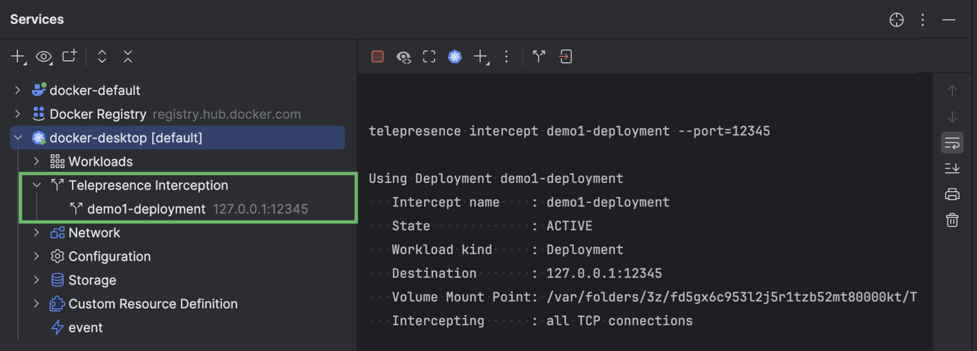 Remote debugging using Telepresence | IntelliJ IDEA Documentation